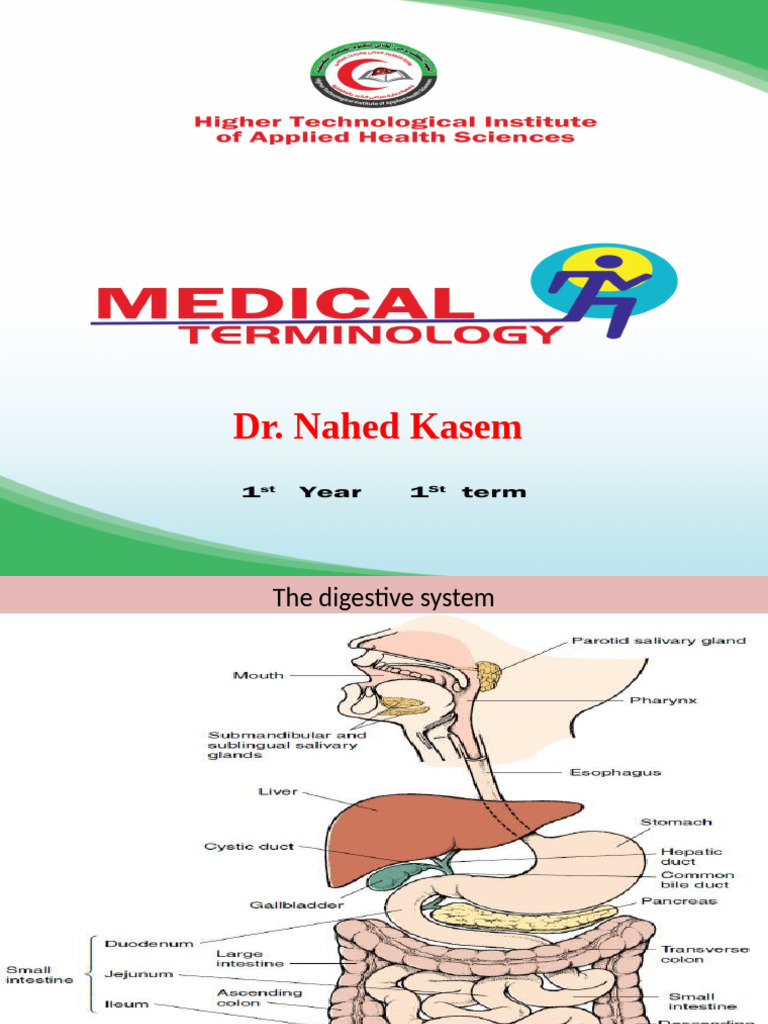 Digestive System Medical Terms Guide | PDF | Anatomical Terms Of Motion ...