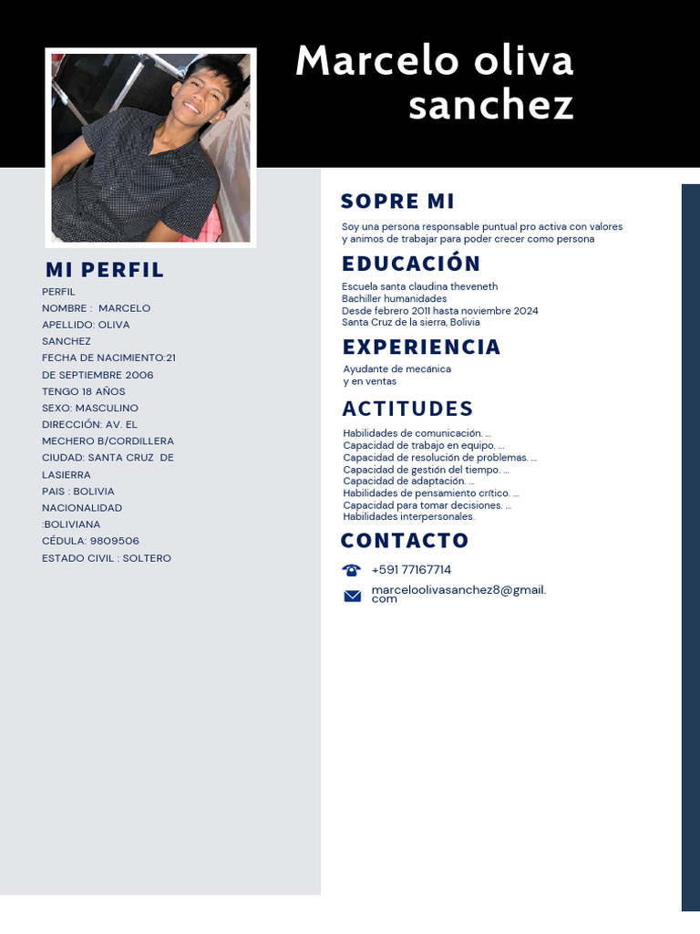 Currículum Vitae Asesor Financiero Profesional Corporativo Azul y Gris_20250401_021019_0000 | PDF