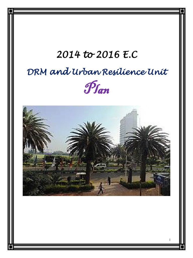 Bahir Dar Fire Emergency Response Plan | PDF | Disaster Risk Reduction ...
