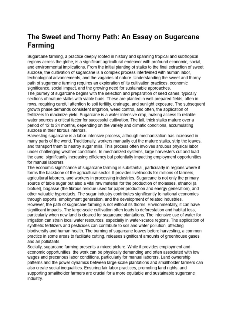 Make A Essay About Suger Farming | PDF | Agriculture | Sugarcane