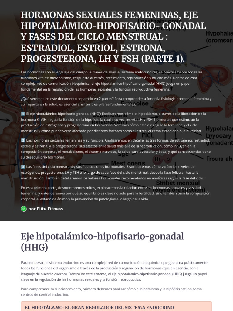 Hormonas Sexuales Femeninas Eje Hipotalamico Hipofisario Gonadal y Fases Del Ciclo Menstrual ...