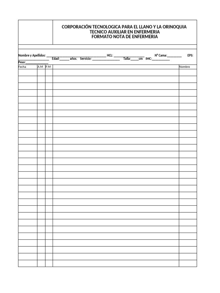 Formatos Enfermeria BALANCE DE LIQ | PDF | Especialidades Medicas | Medicina CLINICA