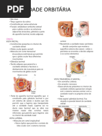 Forames Cranianos: Funções e Localizações | PDF | Anatomia humana ...