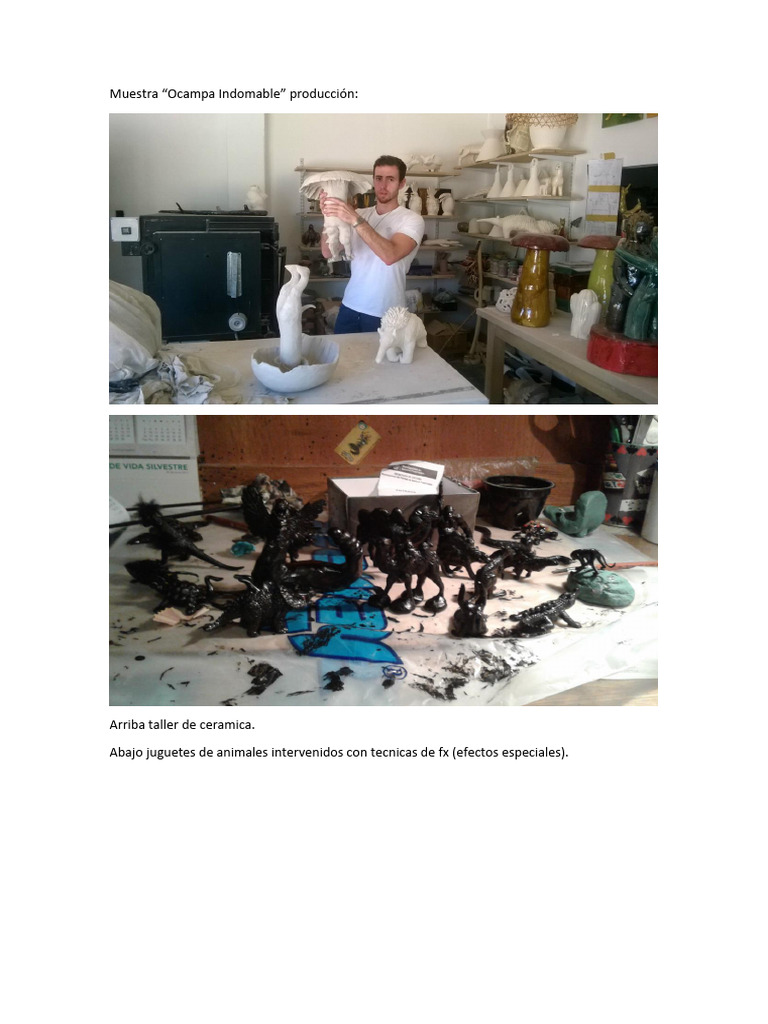 Produccion Ocampa Indomable | PDF