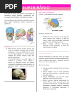 Anatomia e Funções do Osso Frontal | PDF | Anatomia humana | Sistema ...