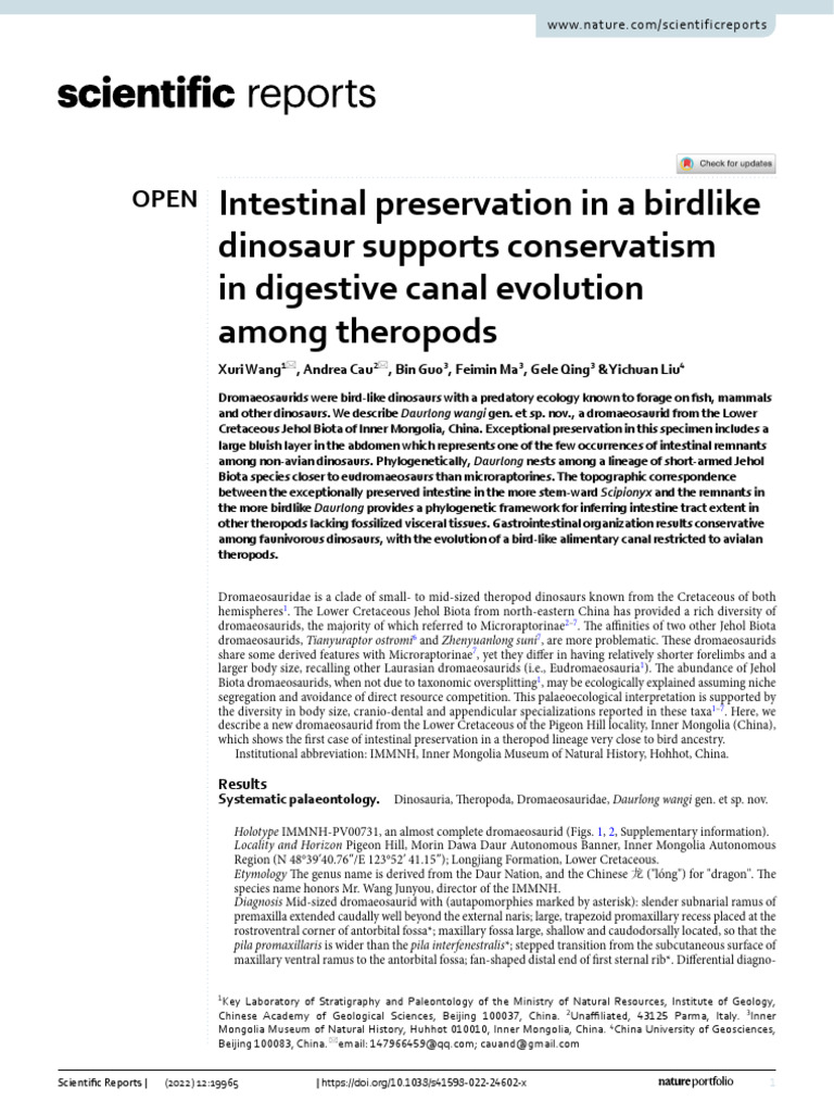 Wang Et Al. 2022 Daurlong Wangi Intestinal Preservation in A Birdlike ...