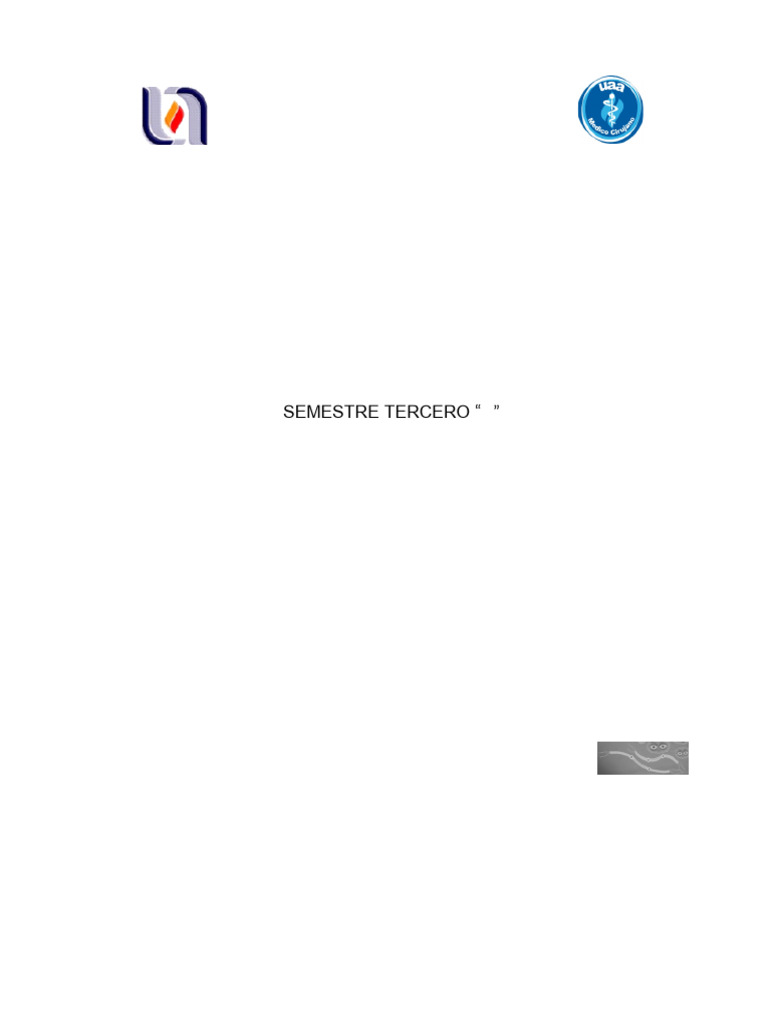 Manual Bacter y Viro Medicina-3oC-2018-01-MaElena-Haydee | PDF | Tinción | Estreptococo