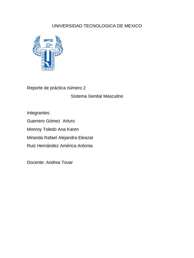 Sisitema Urinario 1a Prac | PDF