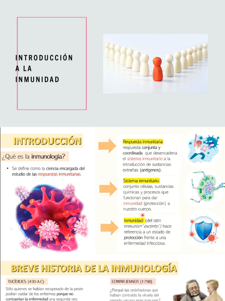 Introducción A La Inmunidad | PDF