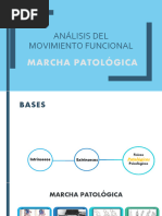 Marcha Trendelenburg: Análisis y Alteraciones | PDF | Pelvis | Sistema ...