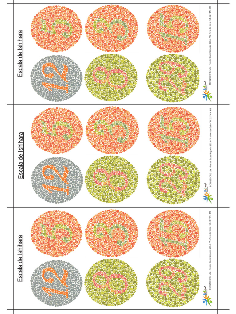 Escala Optométrica Ishihara | PDF