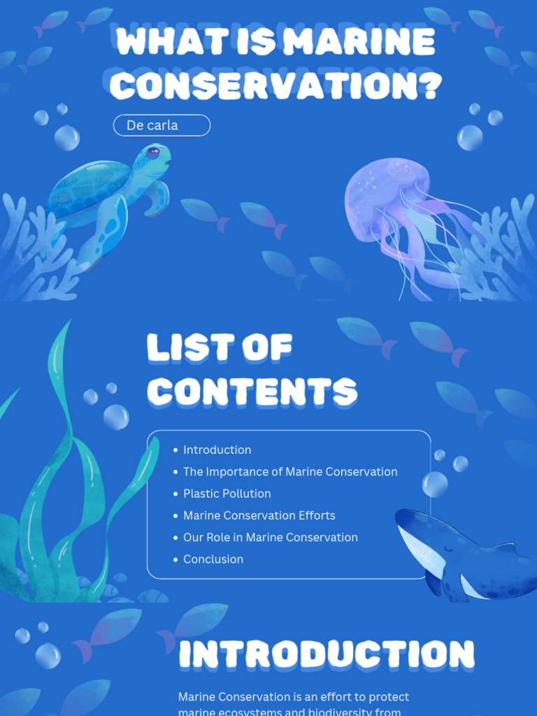 Blue and White Illustrative What Is Marine Conservation Presentation ...