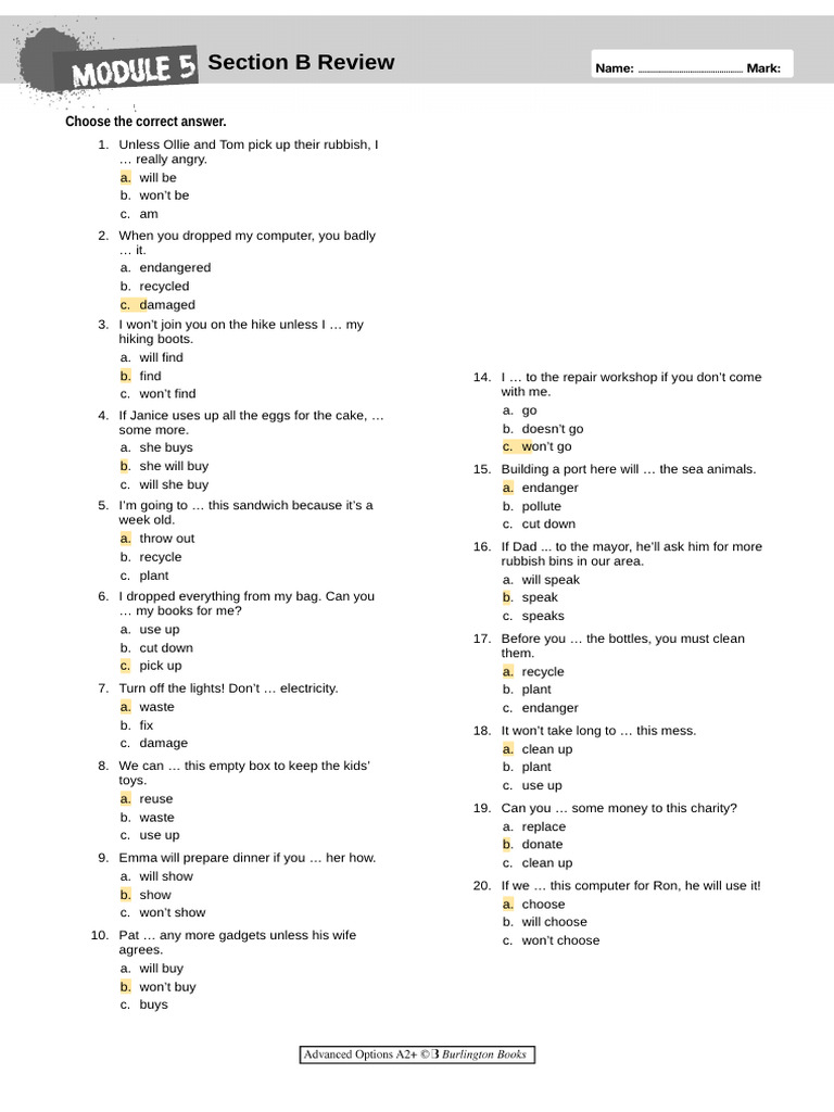 02AdvOptions A2Plus M5 SecB | PDF | Economy And The Environment | Pollution