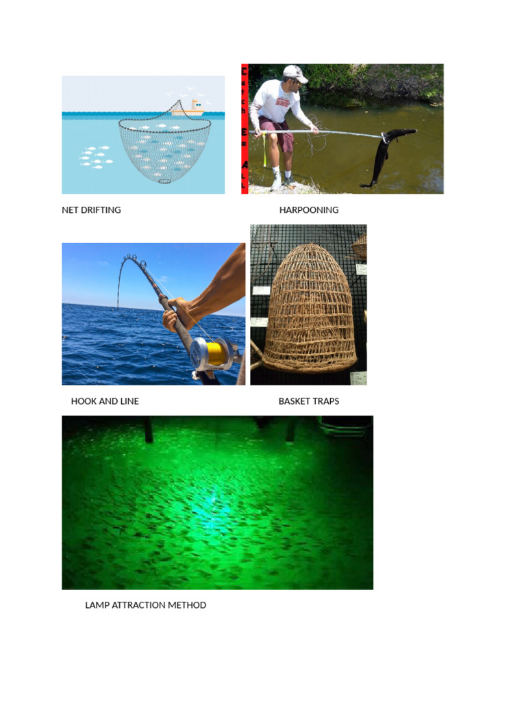 Methods of Fishing | PDF