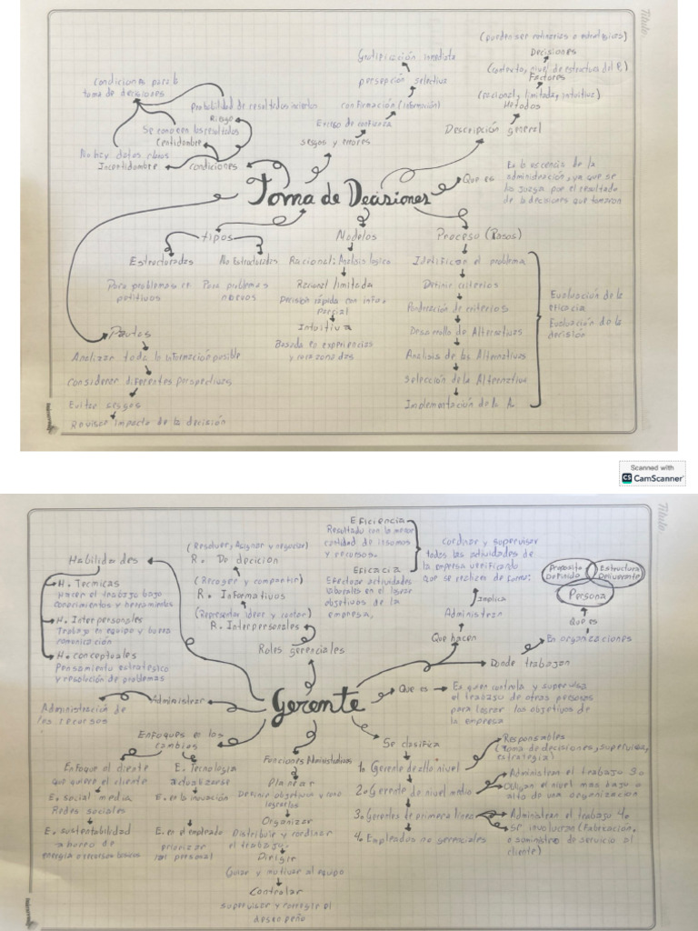 Mapas Mentales | PDF