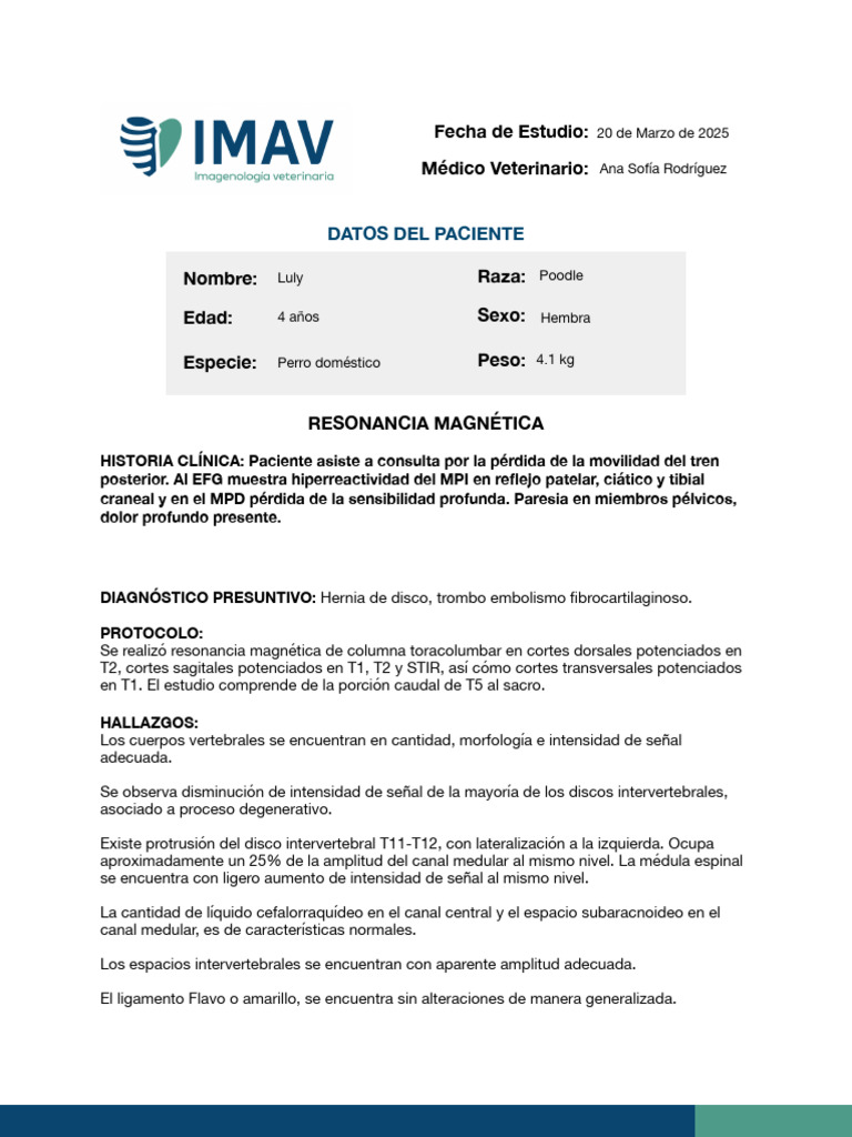 Luly Poodle RM Col TL Ana Rodríguez 08abr25 | PDF | Sistema nervioso ...