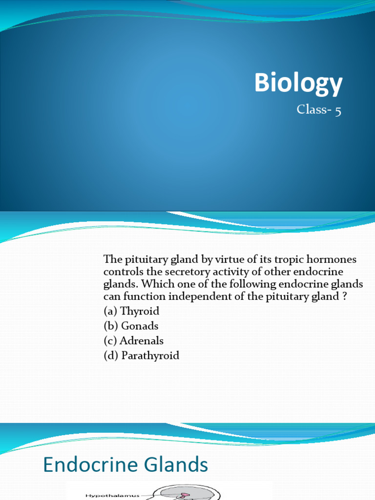 116140_classroom_0_Biology_Class_ | PDF | Endocrine System | Pituitary Gland