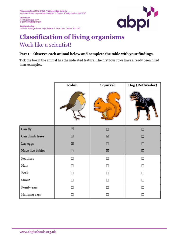 work-like-a-scientist-activity | PDF
