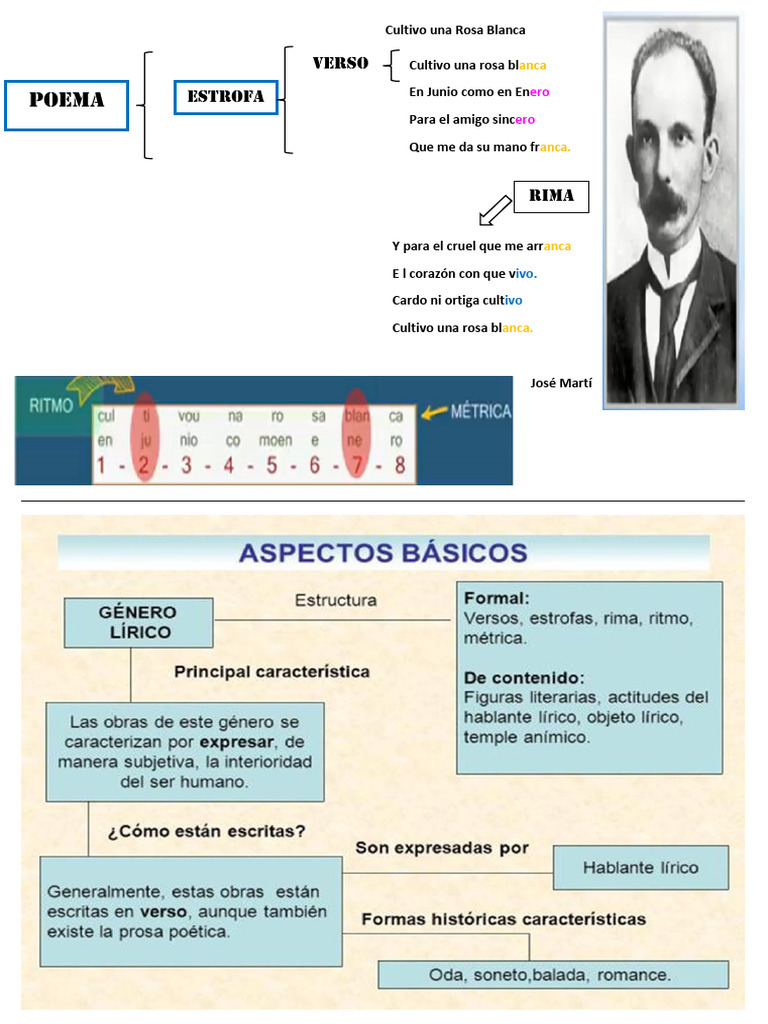 aspectos basicos | PDF