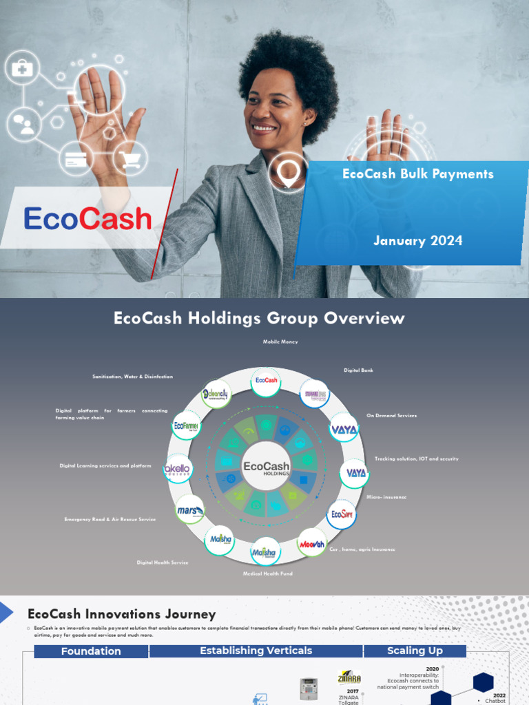 EcoCash Bulk Payments Proposal | PDF | Cash | Banks