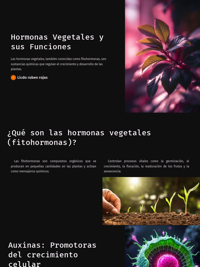 Hormonas-Vegetales-y-sus-Funciones 2 | PDF | Hormona Vegetal | Plantas