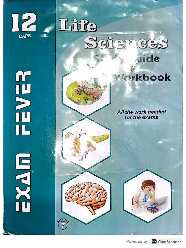 Exam Fever TERM 1 Topics | PDF