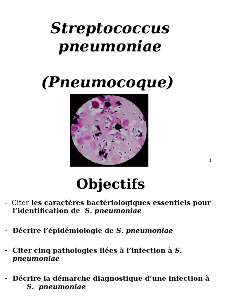 3-Pneumocoque 2025 | PDF | Streptocoque | Méningite
