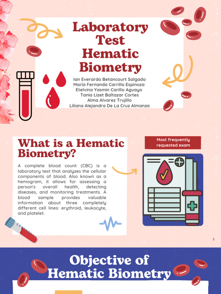 The Circulatory System Education Presentation in Peach Red Blue Hand ...