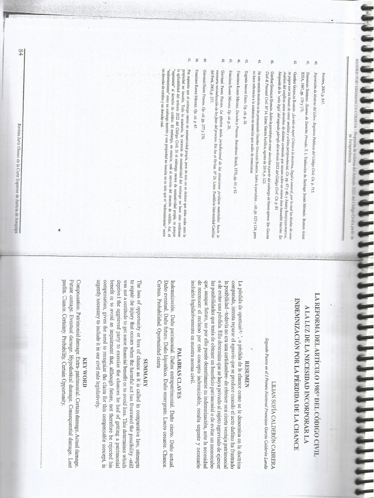 Perdida de Chance, Lilian Calderon | PDF