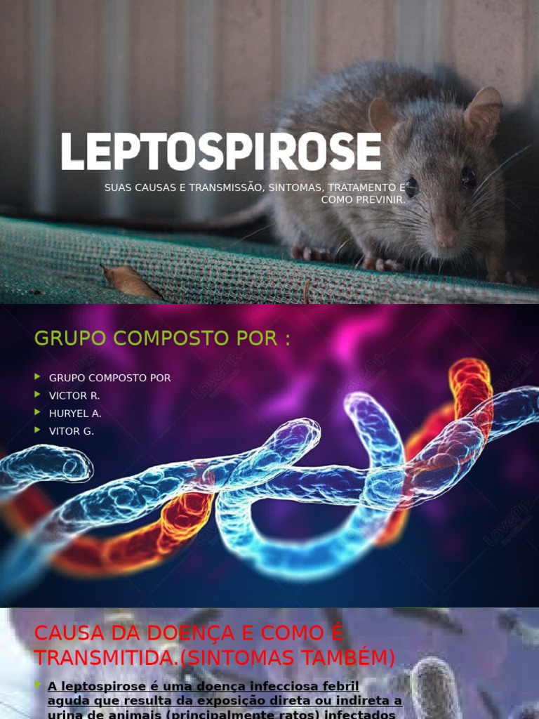 Leptospirose Trabalho Foda | PDF