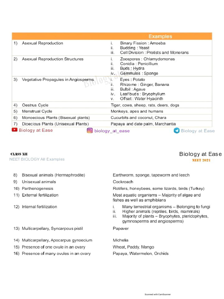 Biology Examples | PDF