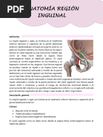 Definición y ubicación de la ingle | PDF | Estudios de idiomas ...