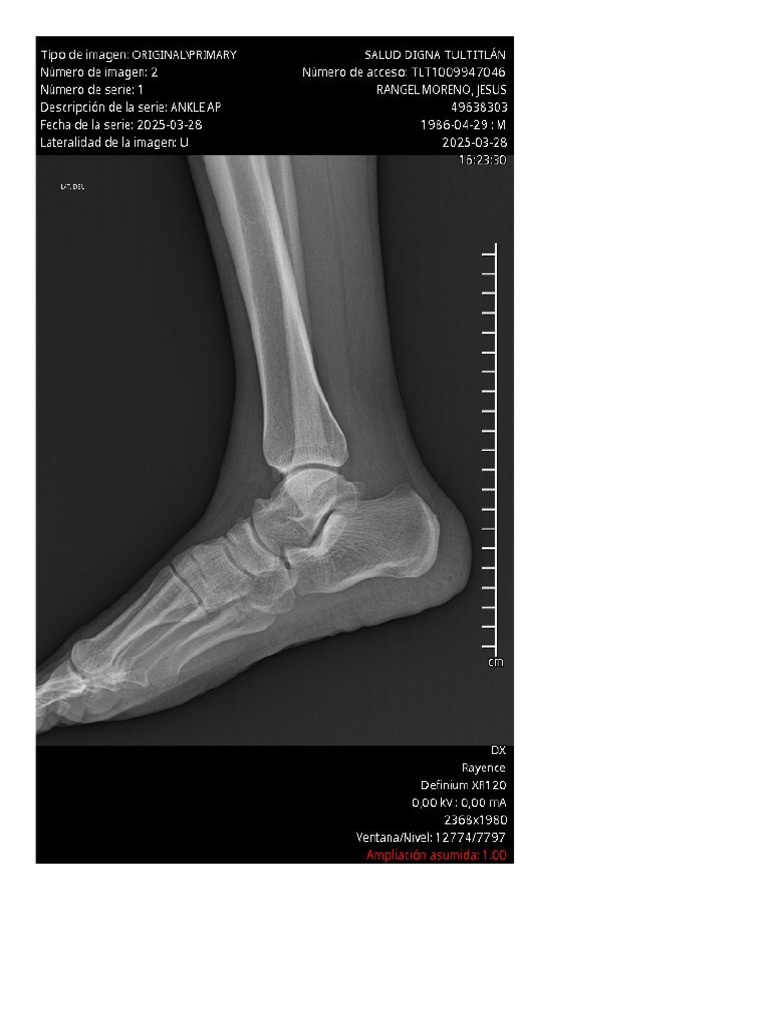 Synapse Mobility 2 | PDF