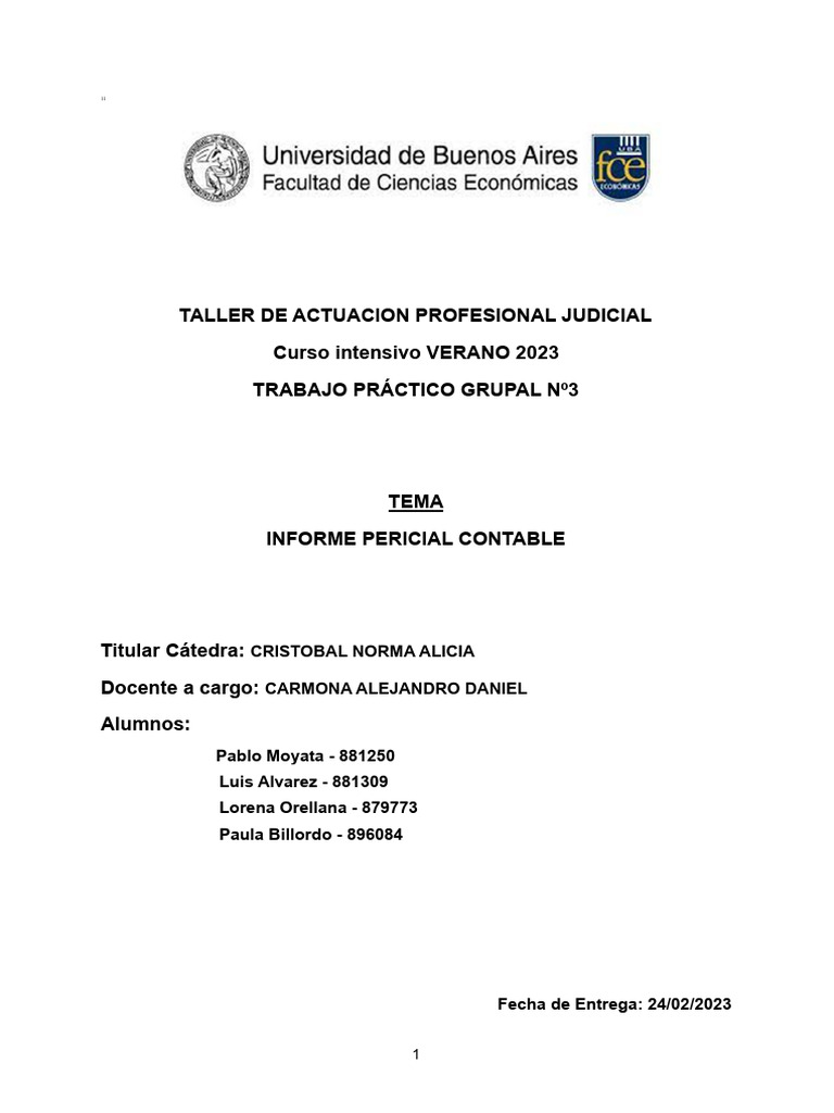 Informe Pericial Contable 2023 | PDF | Testigo experto | Póliza de seguros