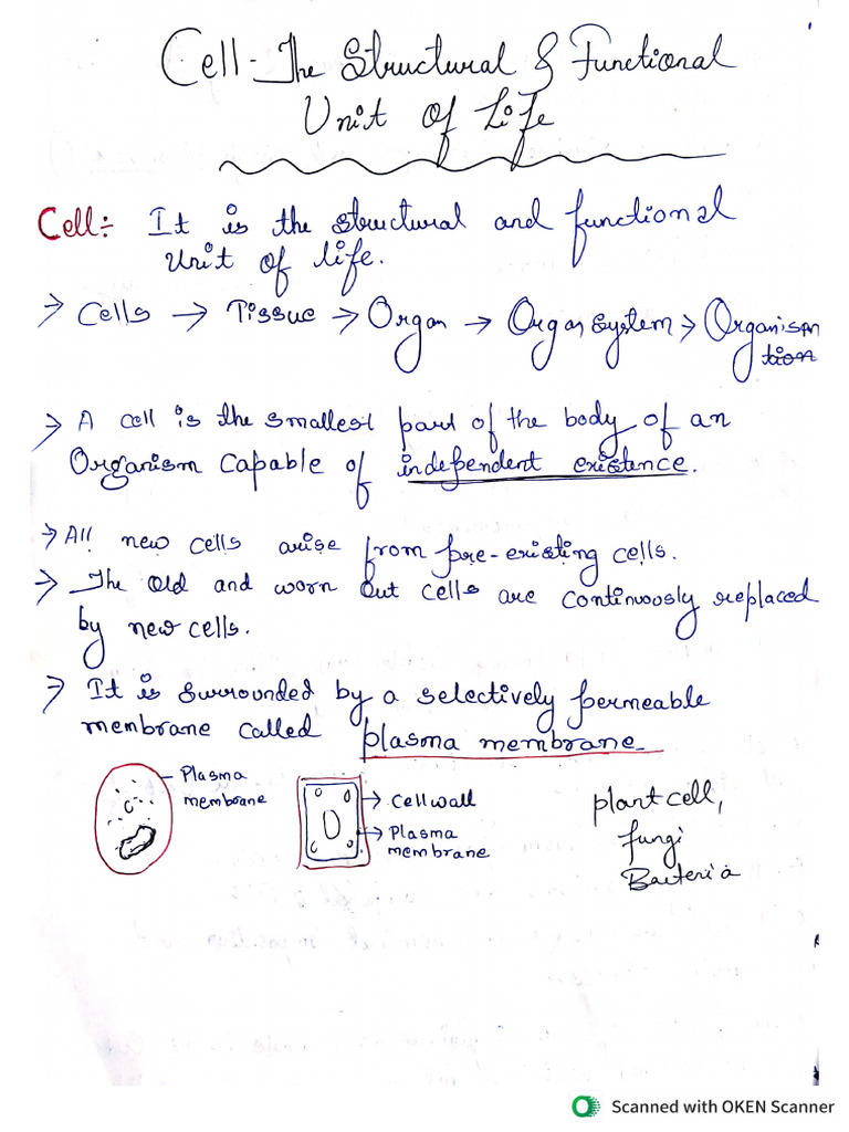 Cell (Icse Class 9 Biology Part 1) | PDF