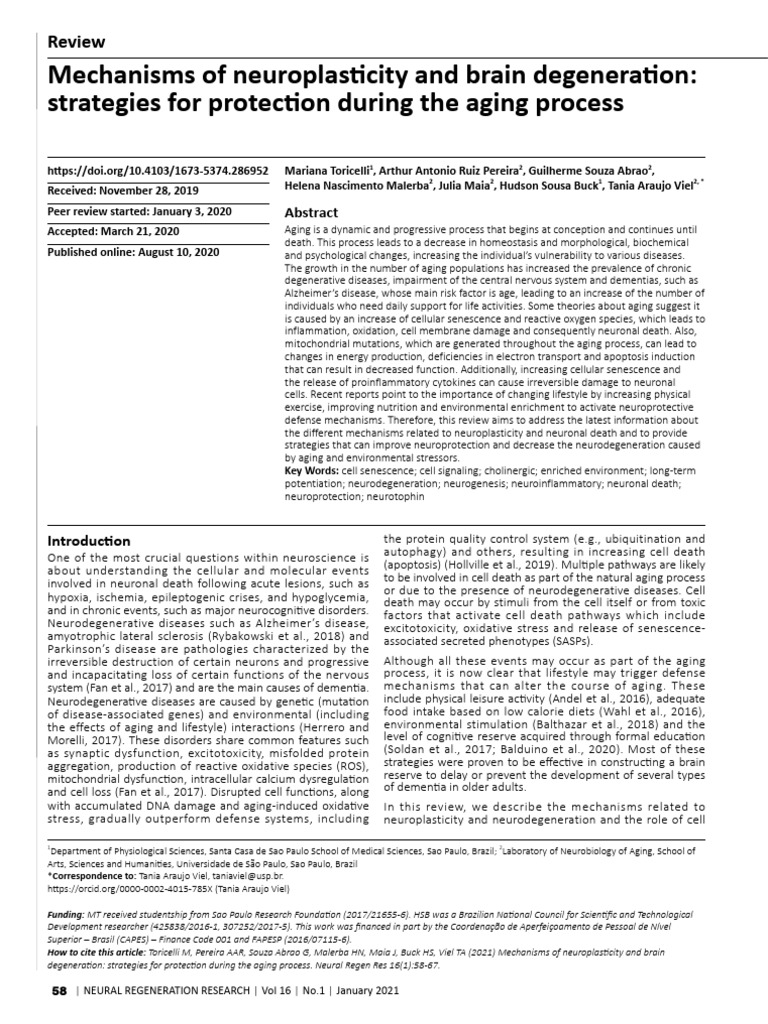 mechanisms_of_neuroplasticity_and_brain.10 | PDF | Synapse | Chemical ...