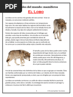 Anexo Lobos Continuemos Estudiando | PDF | Zoología
