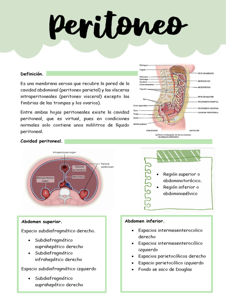 Peritonitis Tema 3 | PDF | Peritoneo | Abdomen