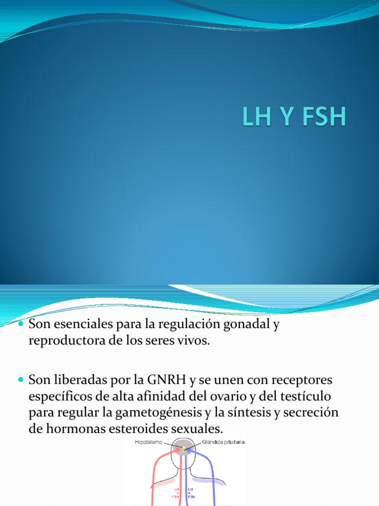 LH y FSH | PDF | Hormona luteinizante | Testículo