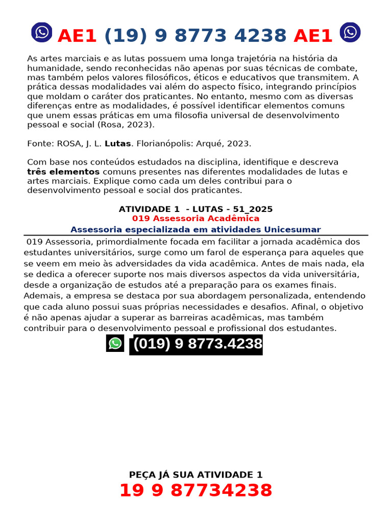 AE1 AE1: Lutas | PDF