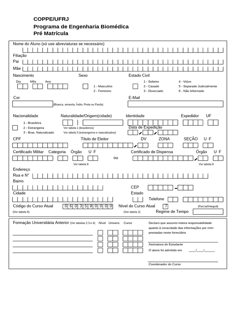 Formulario Pre Matricula PEB | PDF