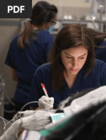 Vet Nursing Ability Model | PDF | Nursing | Patient