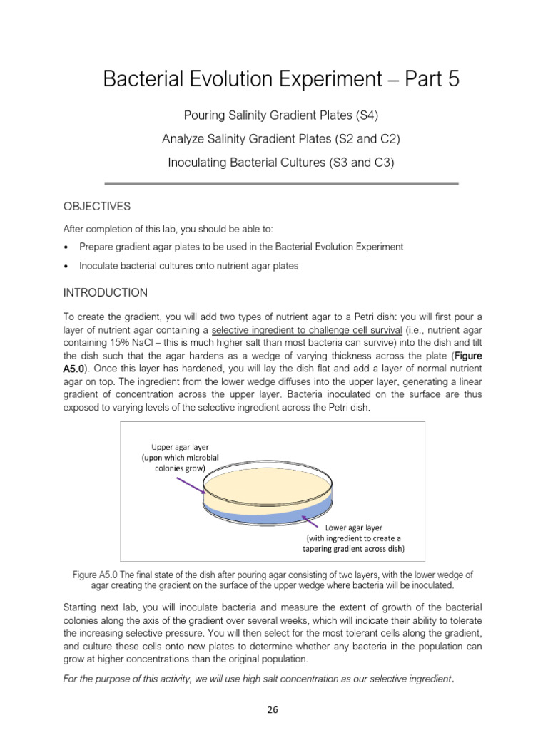 Bacterial Salinity Gradient Experiment | PDF | Agar | Bacteria