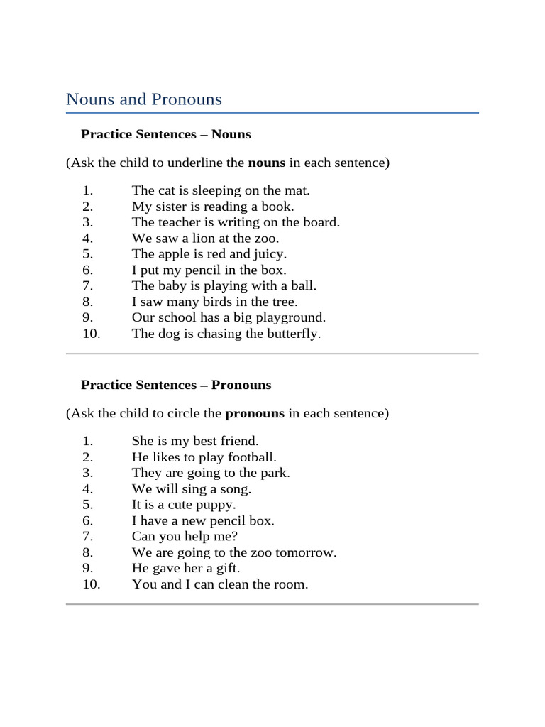 Exercise - Nouns and Pronouns | PDF
