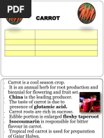 Carrot | PDF