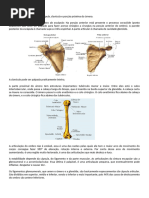 Testes Avaliativos de Mmss (Teste de Patte, Gerber) | PDF | Dor ...