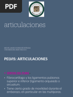 Anatomía y Cultura de las Nalgas | PDF | Nalgas | Anatomía humana
