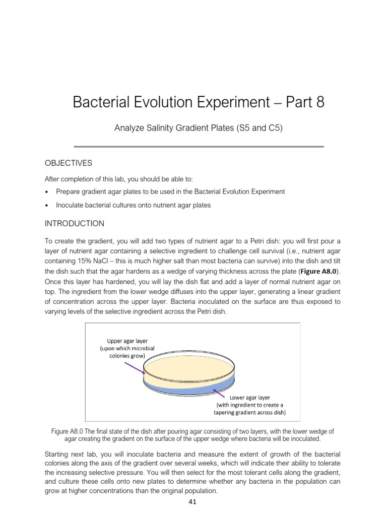 Lab 8 - Bacterial Evolution-Analyze 5 | PDF | Bacteria | Agar