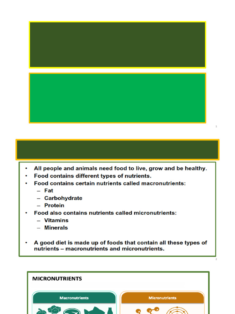 Essential Micronutrients and Immunity | PDF | Vitamin | Nutrients
