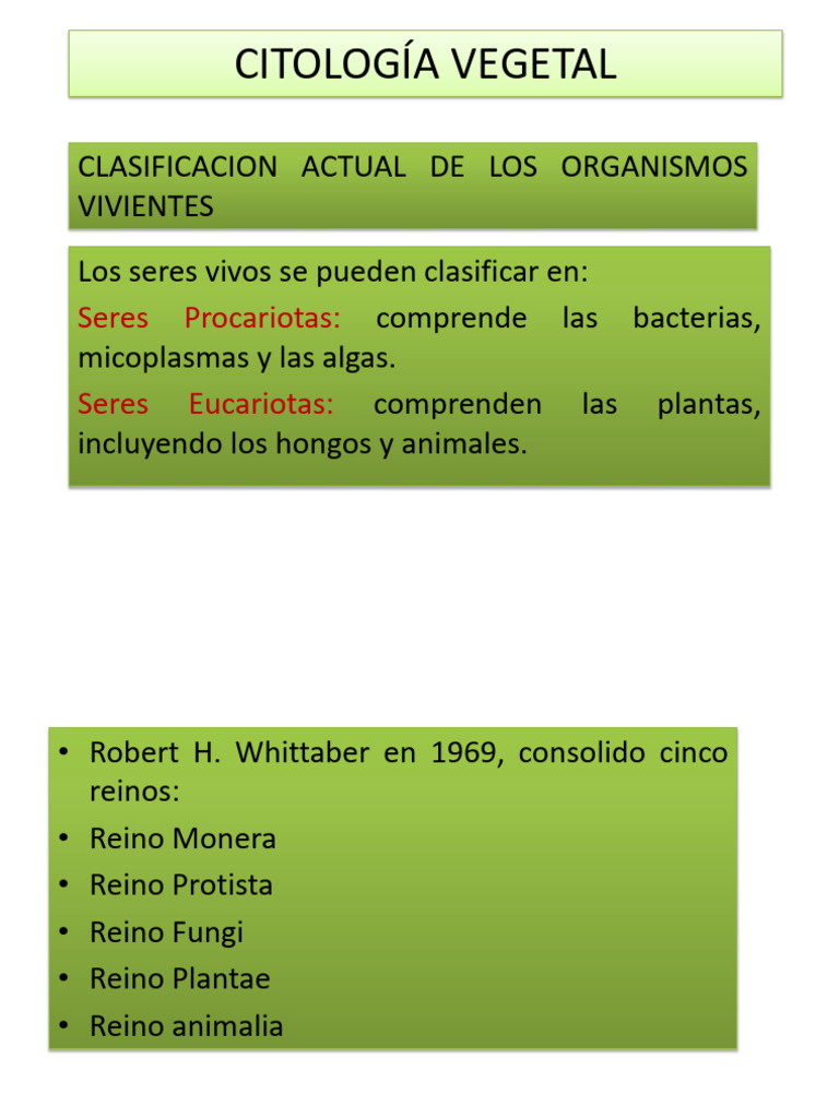 Clasificación de Organismos Vivos | PDF